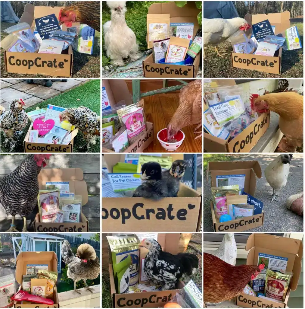 Coopcrate Spoil Your Chickens