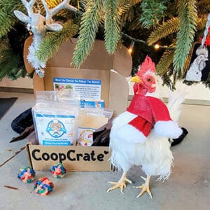 Coopcrate Spoil Your Chickens