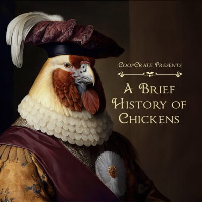 A Brief History of Chickens – CoopCrate