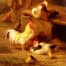 A Brief History of Chickens – CoopCrate