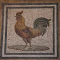 A Brief History of Chickens – CoopCrate