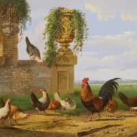 A Brief History of Chickens – CoopCrate